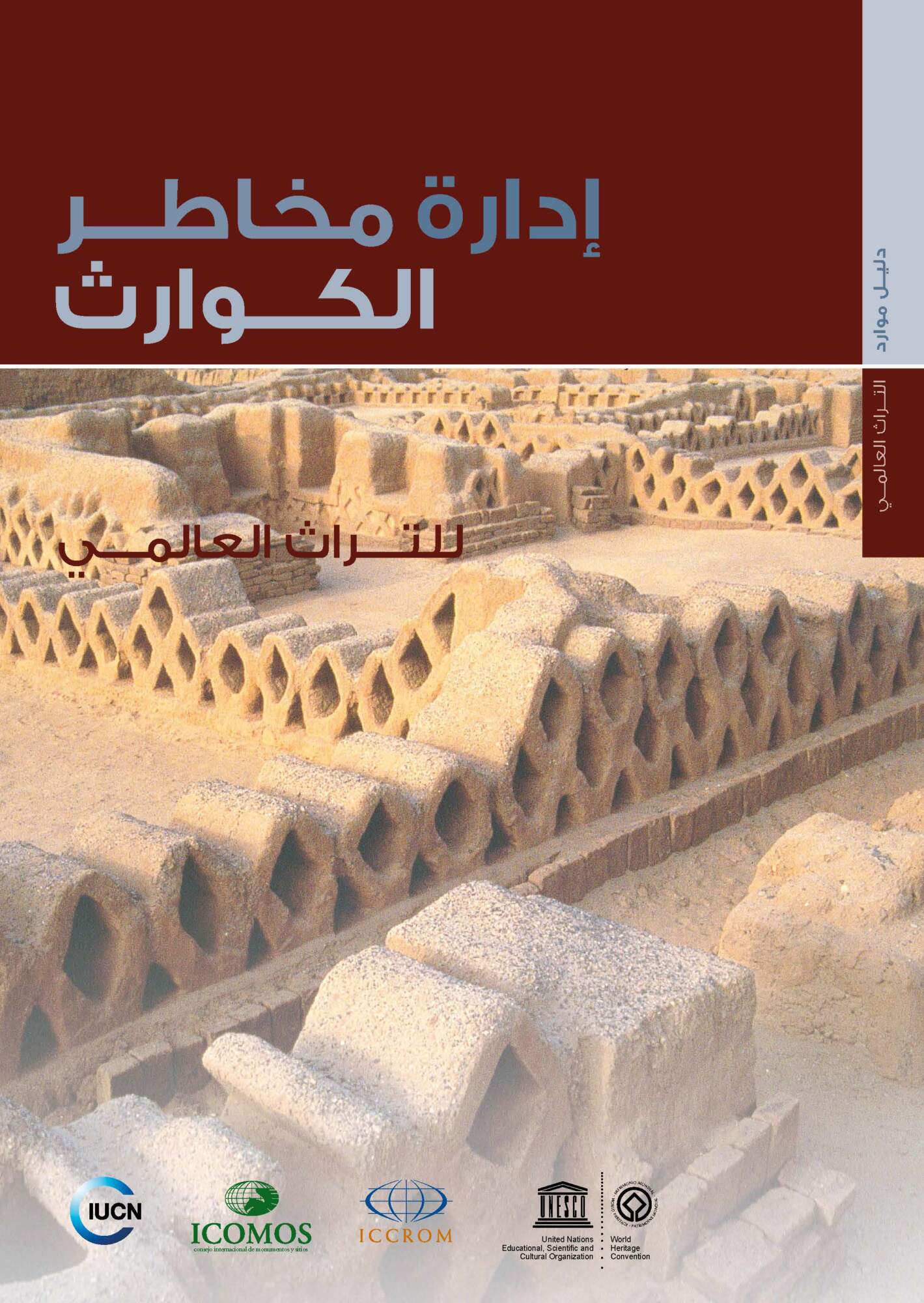 Managing Disaster Risks (Arabic Version) - Arab Regional Centre for ...
