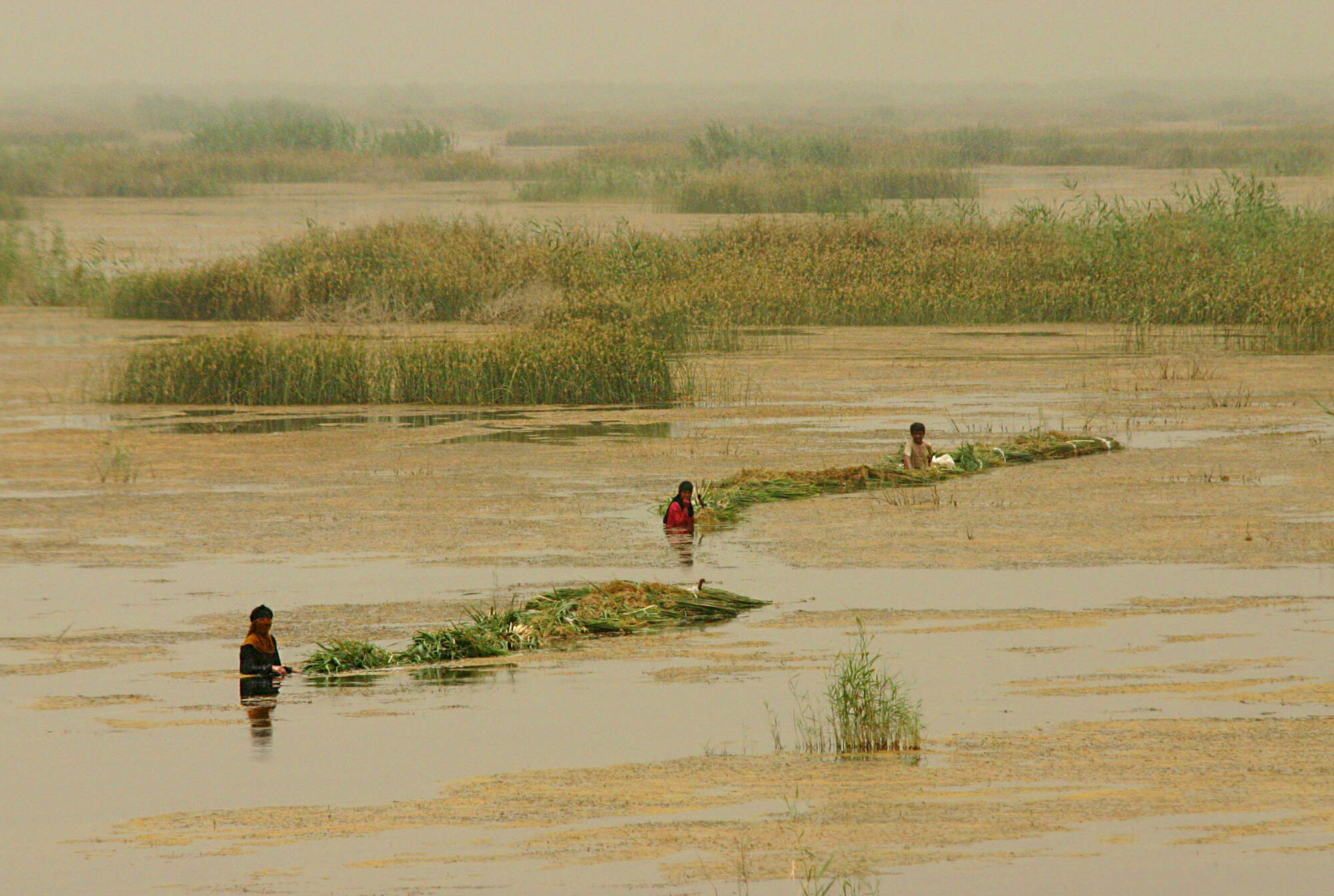 Inventory and Analysing Threats of the Integrity of the Natural Values ...